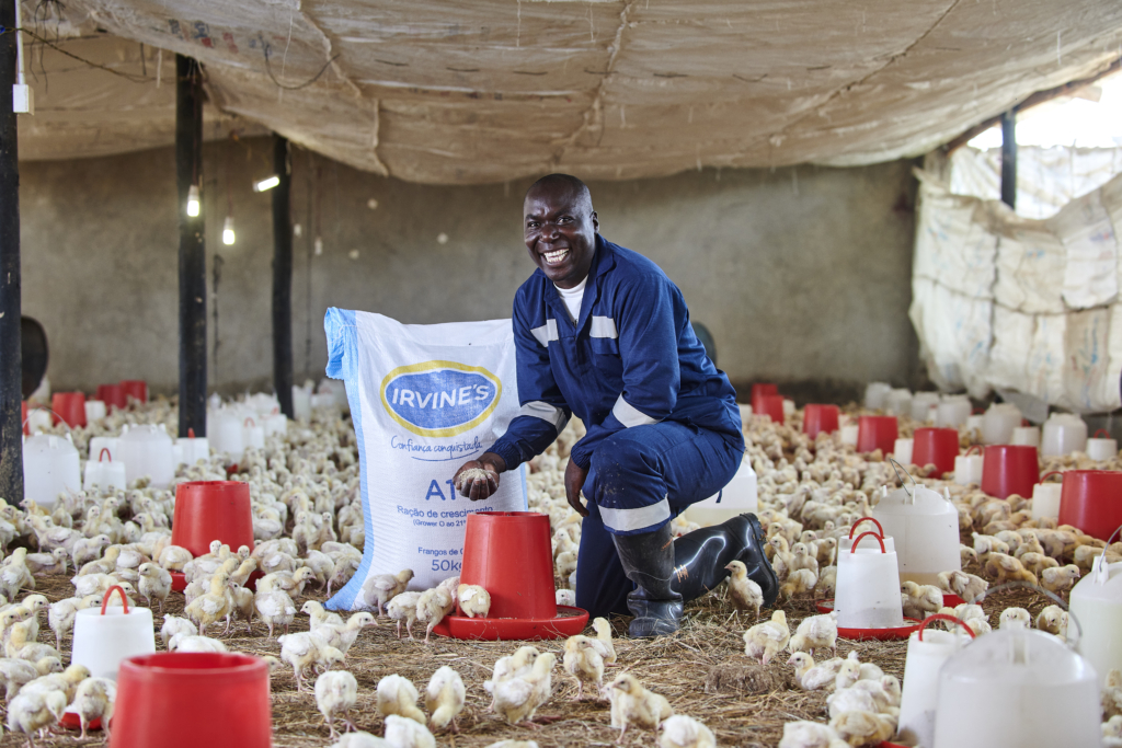 Poultry investment to create jobs and contribute to food security - Norfund