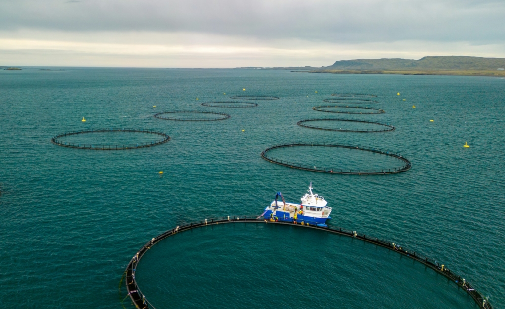 Investment in fish farming to create jobs and food security in Ghana ...
